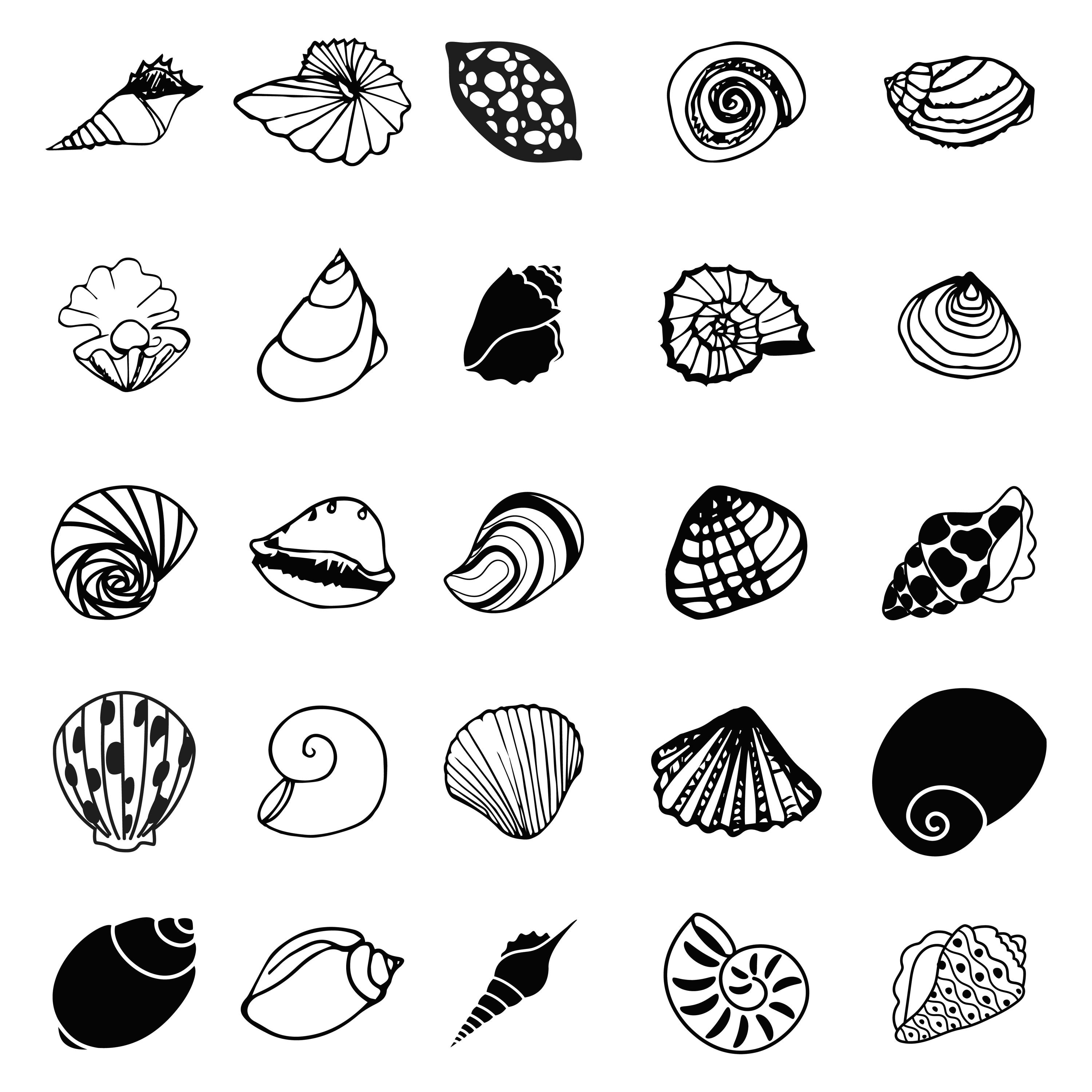 Cute Seashell Svg, Seashell Clipart, Seashell PNG, Sea World Svg ...