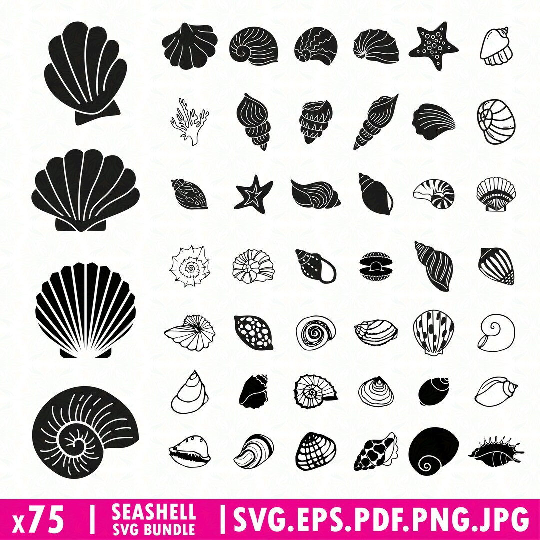 Cute Seashell Svg, Seashell Clipart, Seashell PNG, Sea World Svg ...