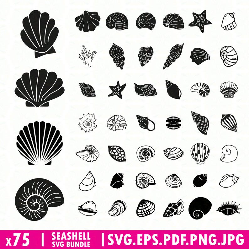 Cute Seashell Svg, Seashell Clipart, Seashell PNG, Sea World Svg ...