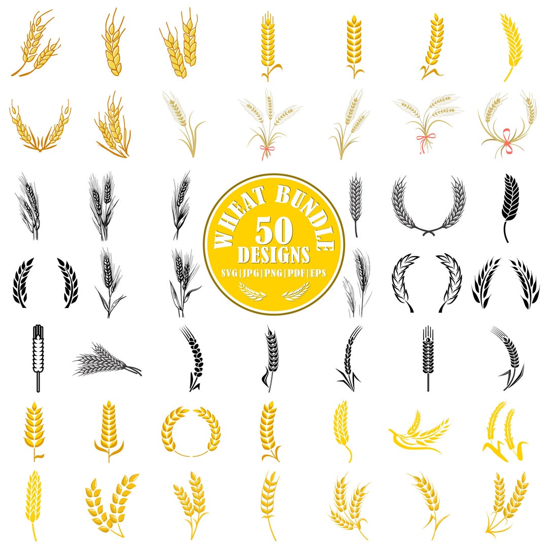 Wheat Svg Bundles, Grain Svg Bundles, Wheat Clipart, Wheat PNG, What ...