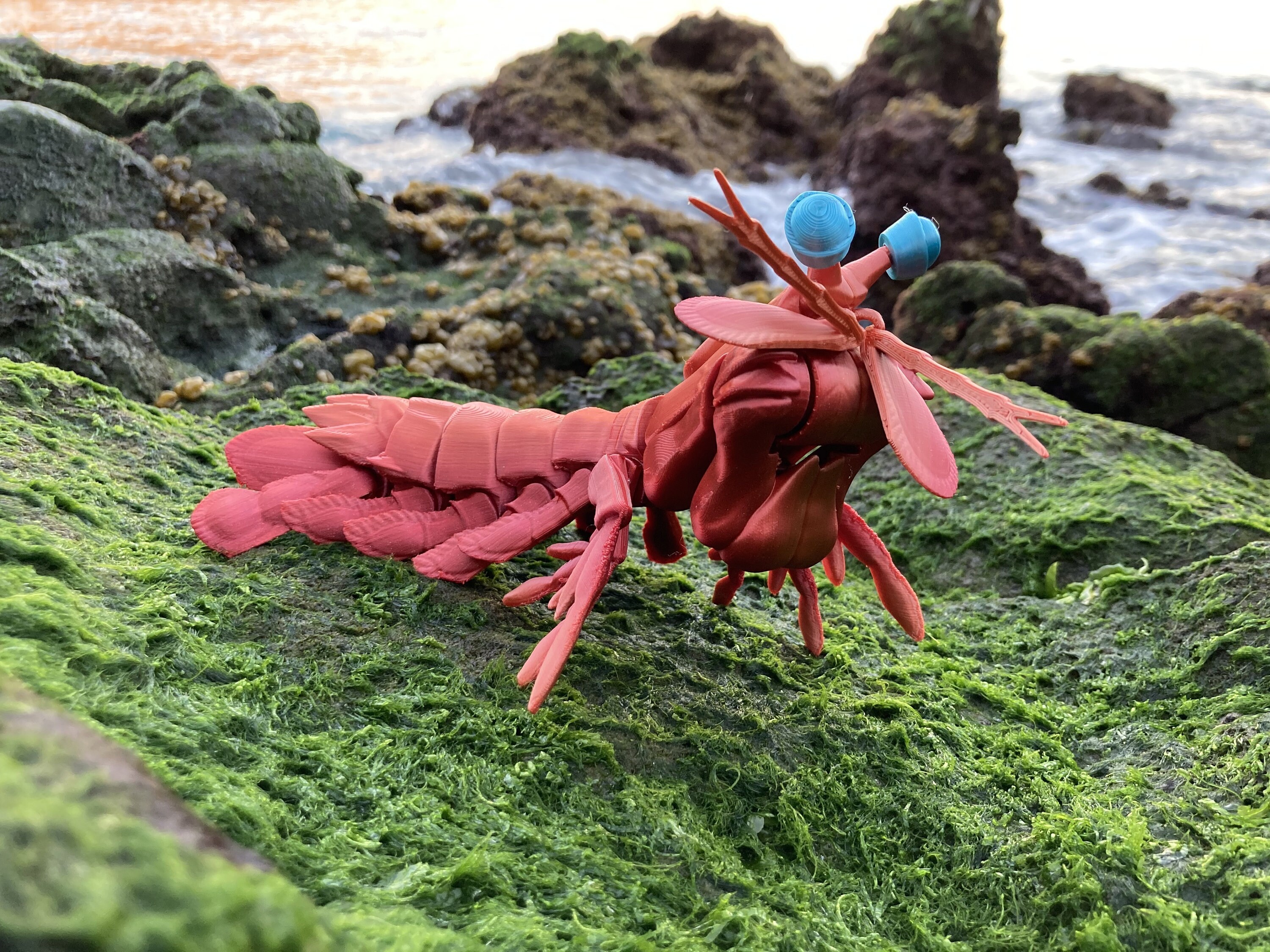 Boxing Shrimp STL File - Etsy