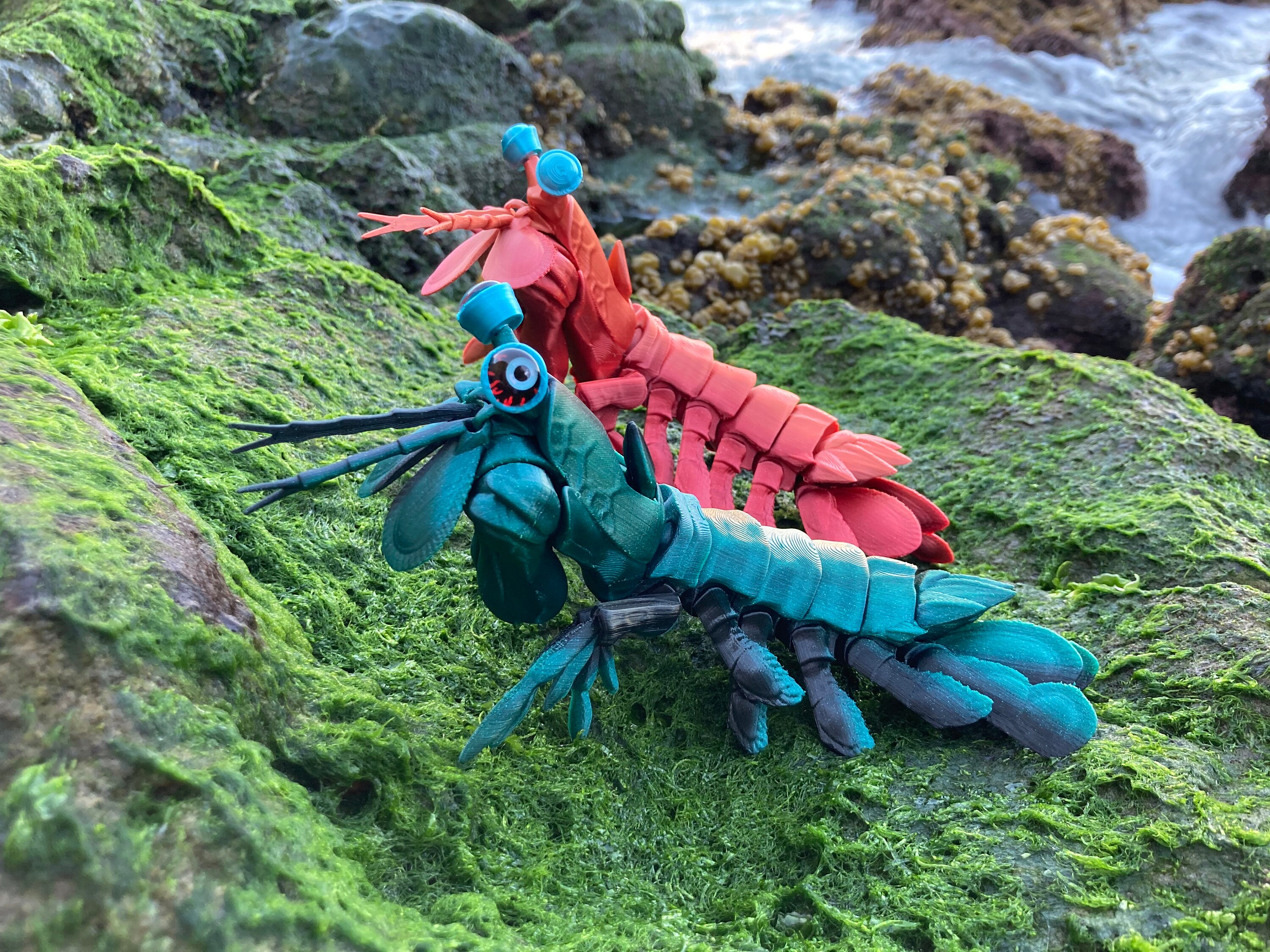 Boxing Shrimp STL File - Etsy