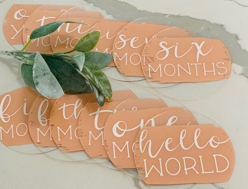 Baby Milestone Tags, Acrylic Baby Milestone Plaques, 12 Month Set Baby ...