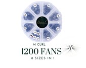 1200 Premade Volume Fans 8 Sizes in 1 Box - Etsy