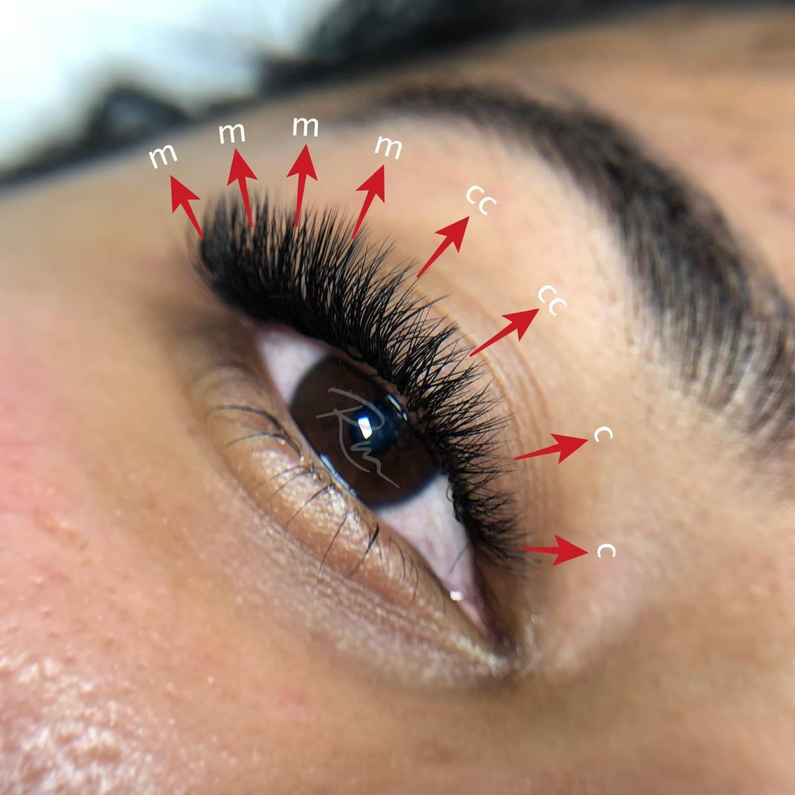 1200 Premade Volume Fans - 8 Sizes in 1 Box - 9-10-11-12-13-14-15-16mm ...