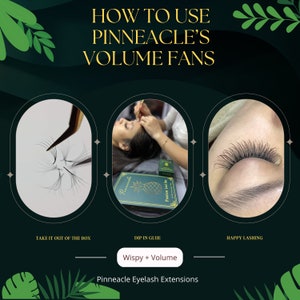 Pack of 3 | 1000 Fans | 6D Volume | Pinneacle Premade Volume Fans for ...