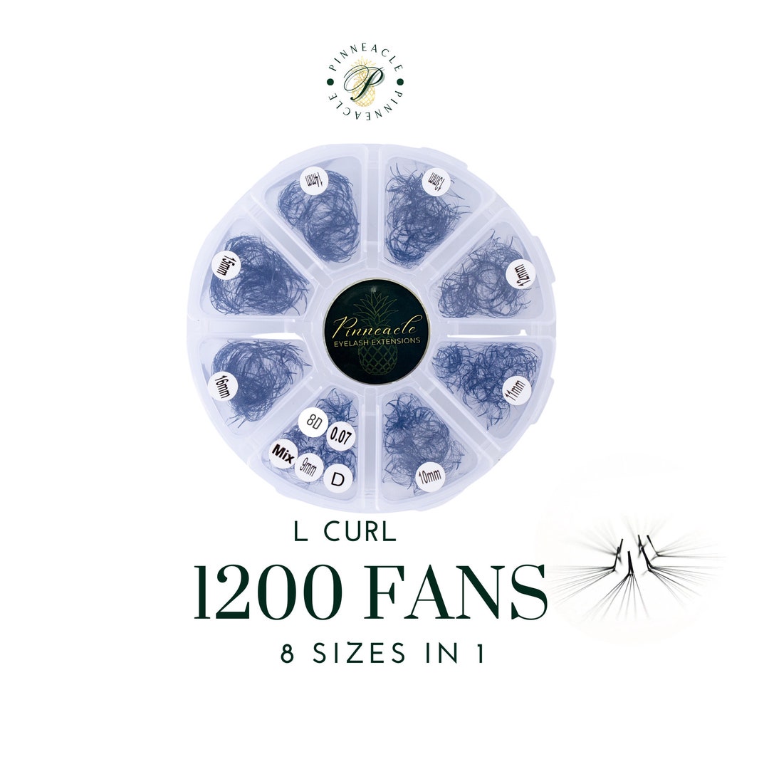 1200 Fans - 8 Sizes in 1 Box - L Curl - Etsy
