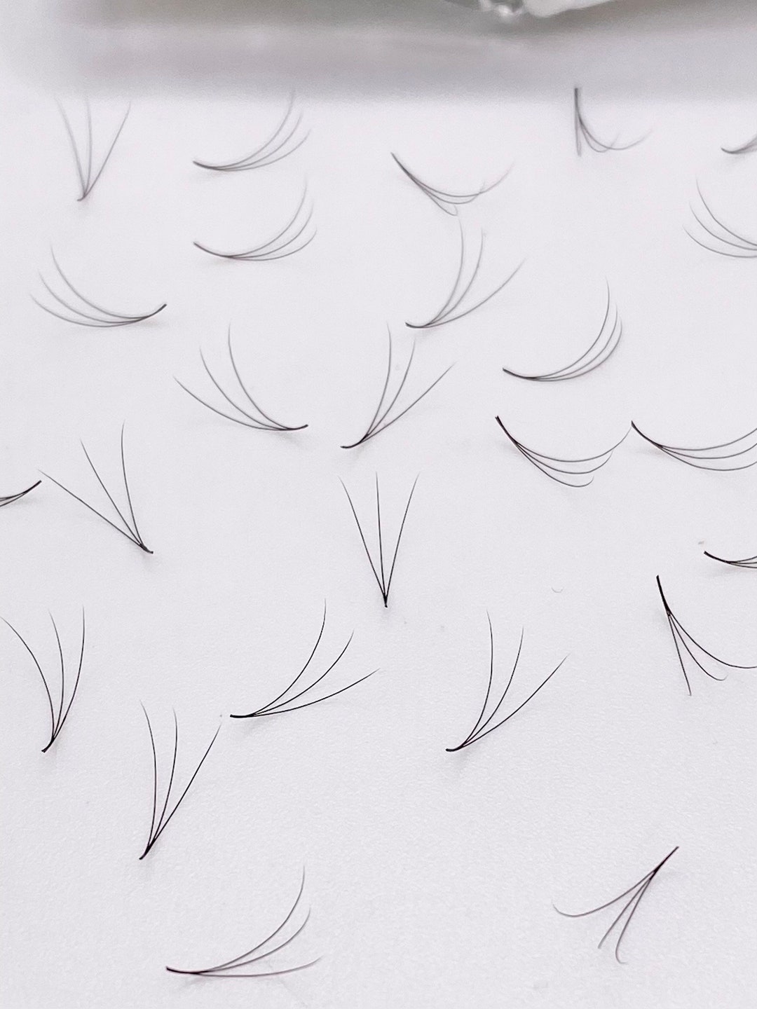 3D Premade Volume Fans - 1000 Fans - Eyelash Extension Supply for Lash ...