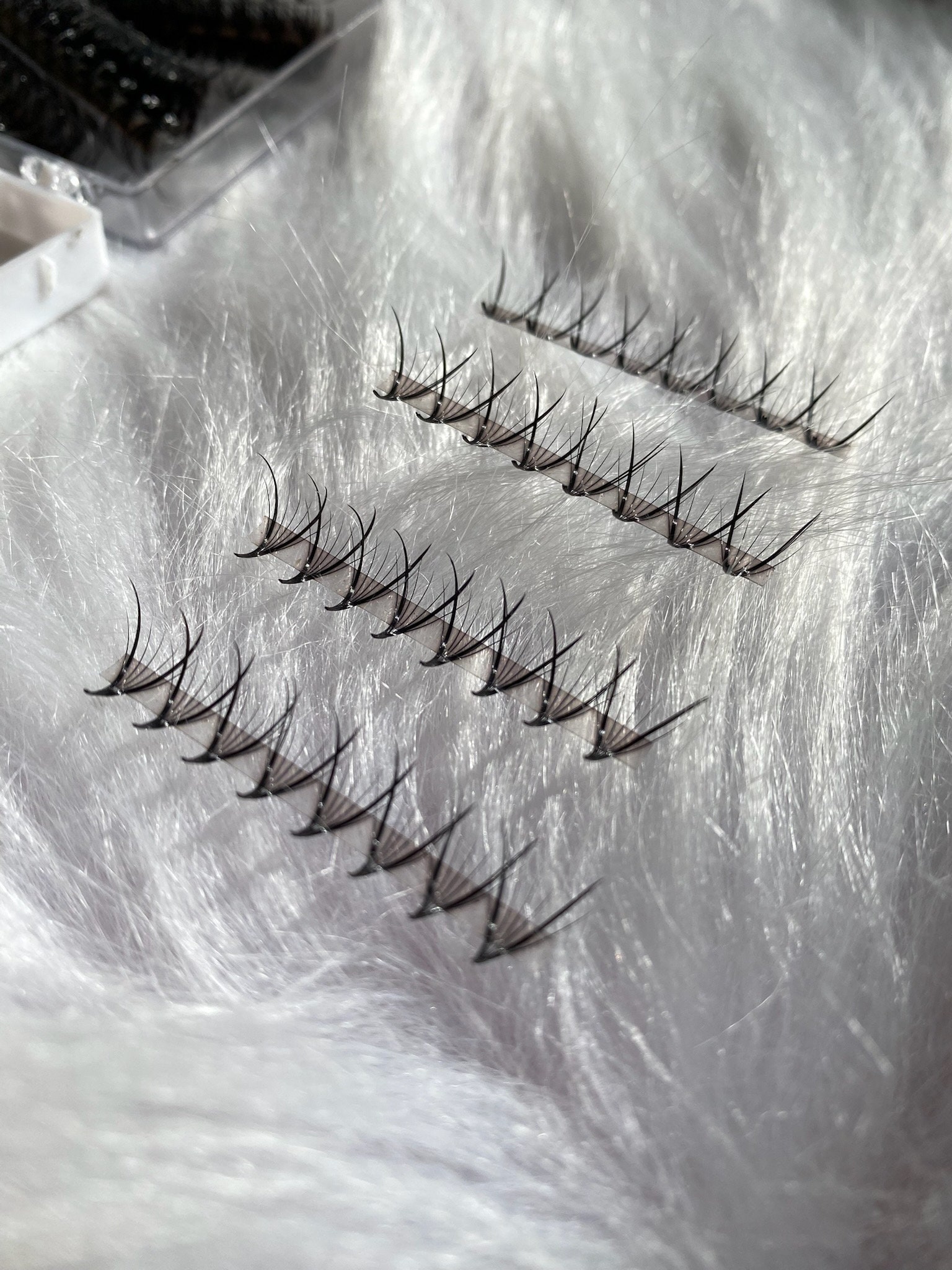 Double Spikes Wispy Premade Fans 8 Sizes in 1 1200 Fans Premade Volume ...