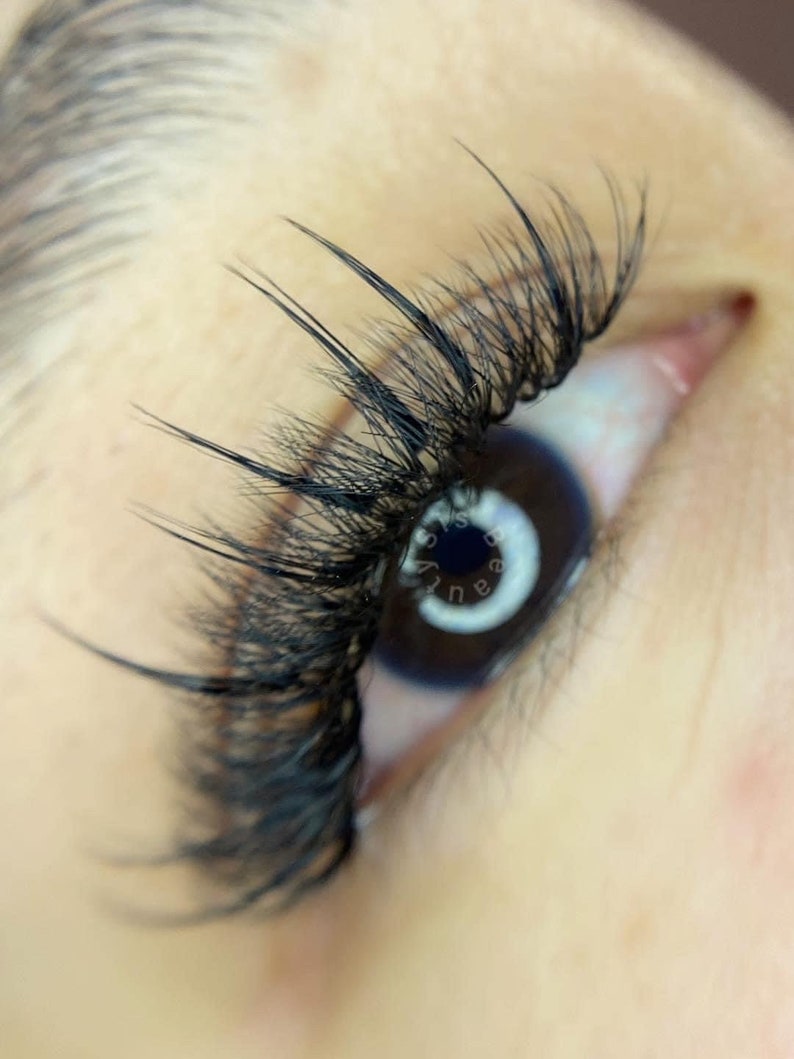 Double Spikes Wispy Premade Fans 8 Sizes in 1 1200 Fans Premade Volume ...