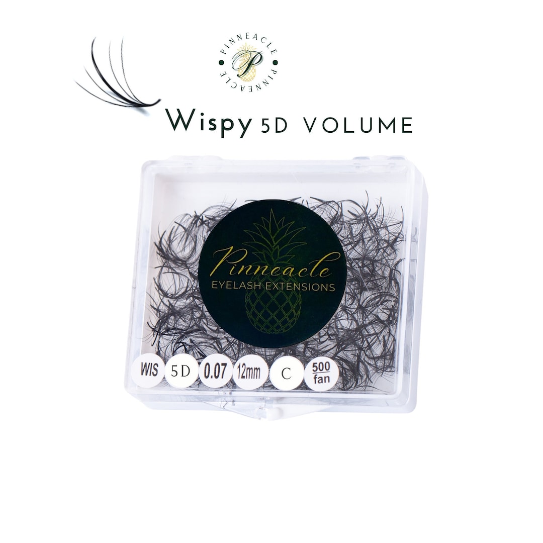 Wispy 500 Fans Volume Promade Fans Eyelash Extension | Premade Volume ...