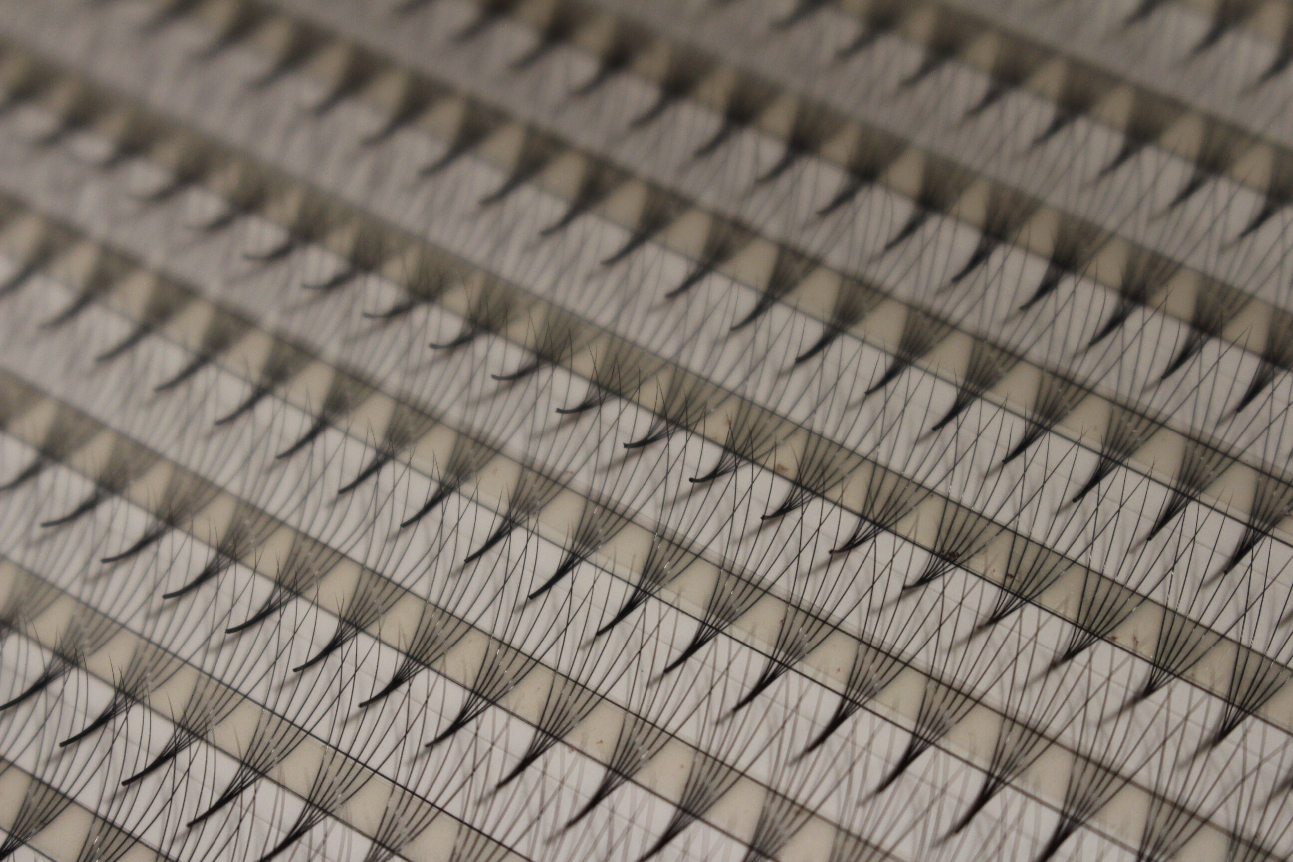 XXL Box 1200 Fans 8 Sizes in 1 Box 6D Volume Premade - Etsy