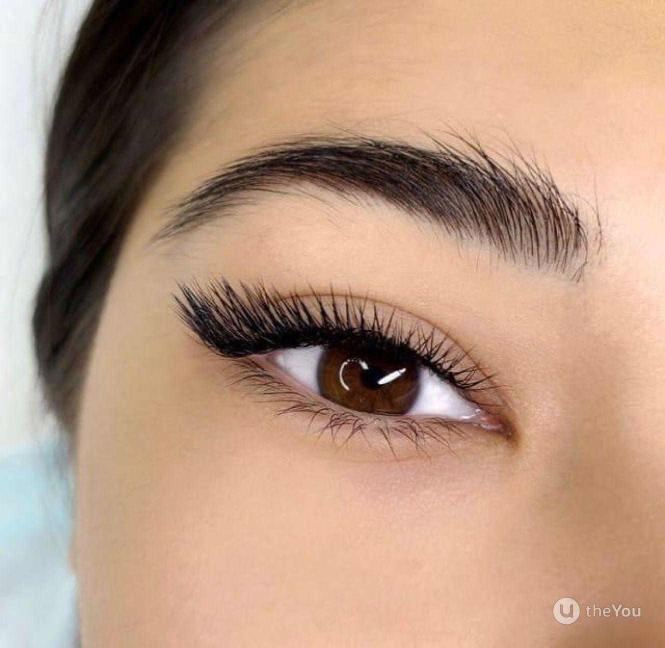 1200 Premade Volume Fans - 8 Sizes in 1 Box - 9-10-11-12-13-14-15-16mm ...