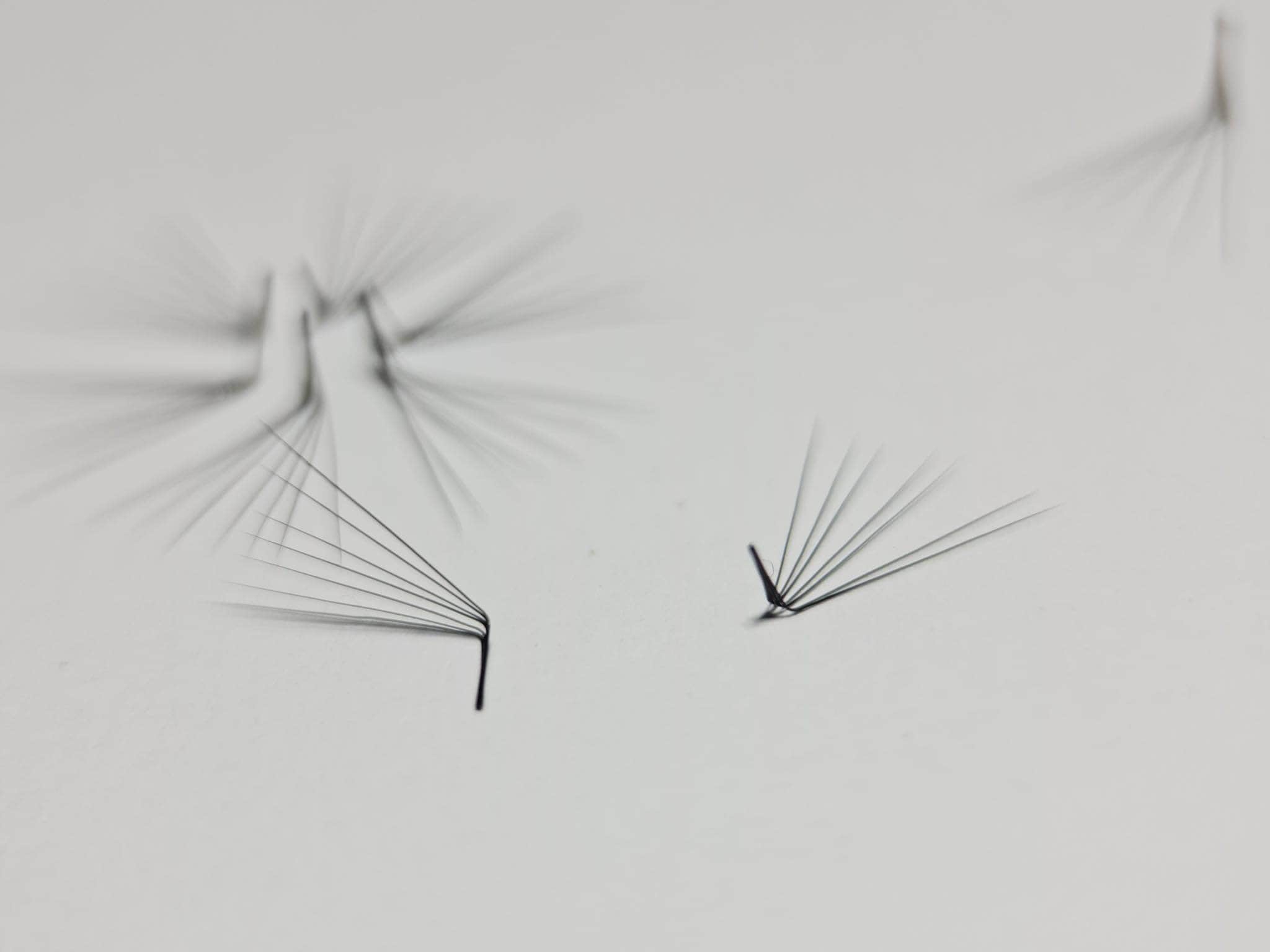 1200 Fans - 8 Sizes in 1 Box - L Curl - Etsy