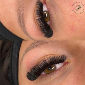 Pack of 3 | 1000 Fans | 6D Volume | Pinneacle Premade Volume Fans for ...