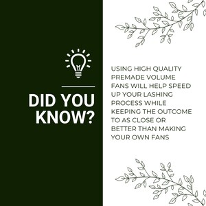 Pack of 3 | 1000 Fans | 6D Volume | Pinneacle Premade Volume Fans for ...