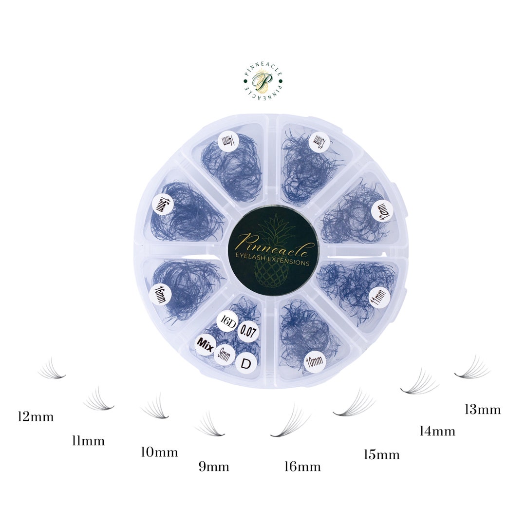 8 Sizes in 1 Box From 9mm to 16mm 6D Volume 1200 Fans Multiple Curls C ...