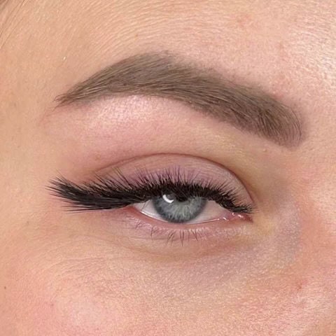 1200 Premade Volume Fans - 8 Sizes in 1 Box - 9-10-11-12-13-14-15-16mm ...