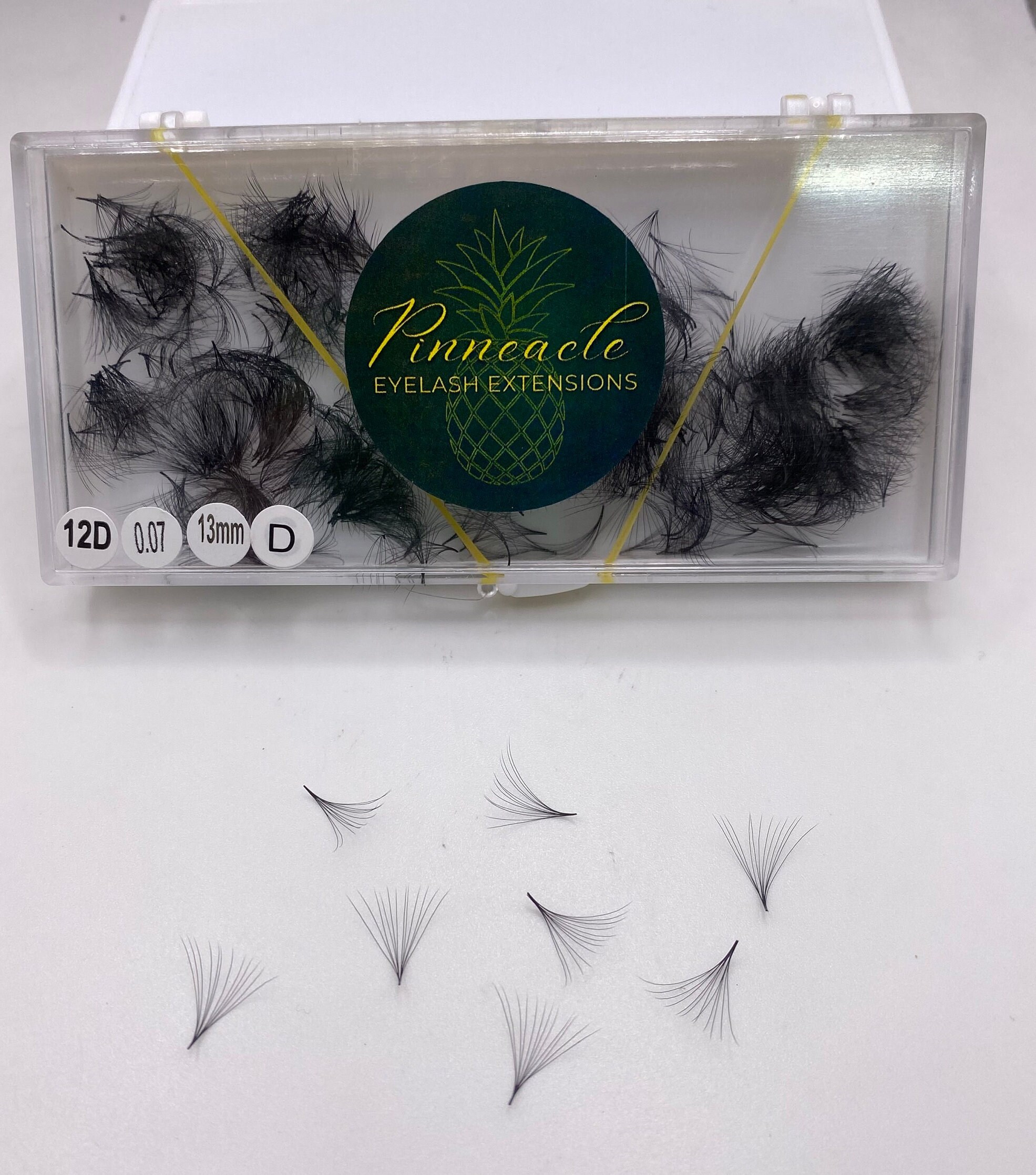 1000 Fans | 12D Volume | Mega Russian Volume Lash Supply | Pinneacle ...