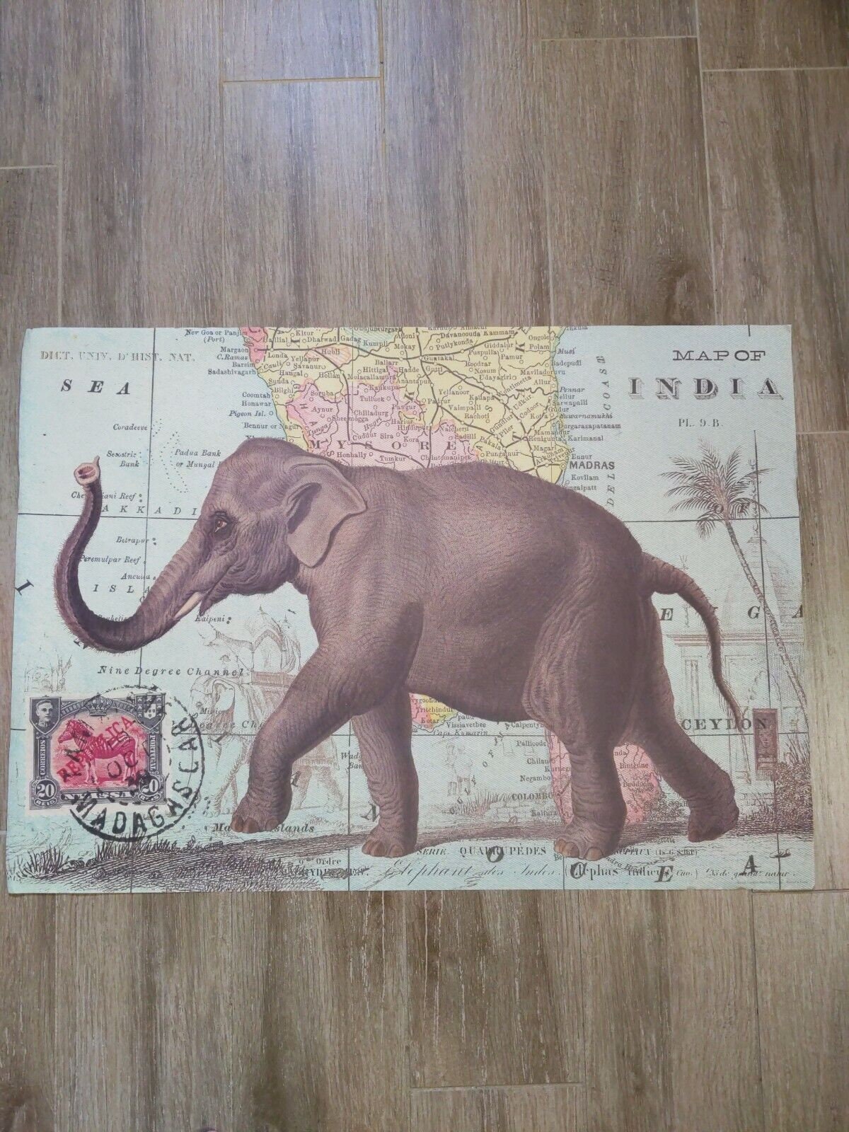Urban Outfitters Elephant Patterns