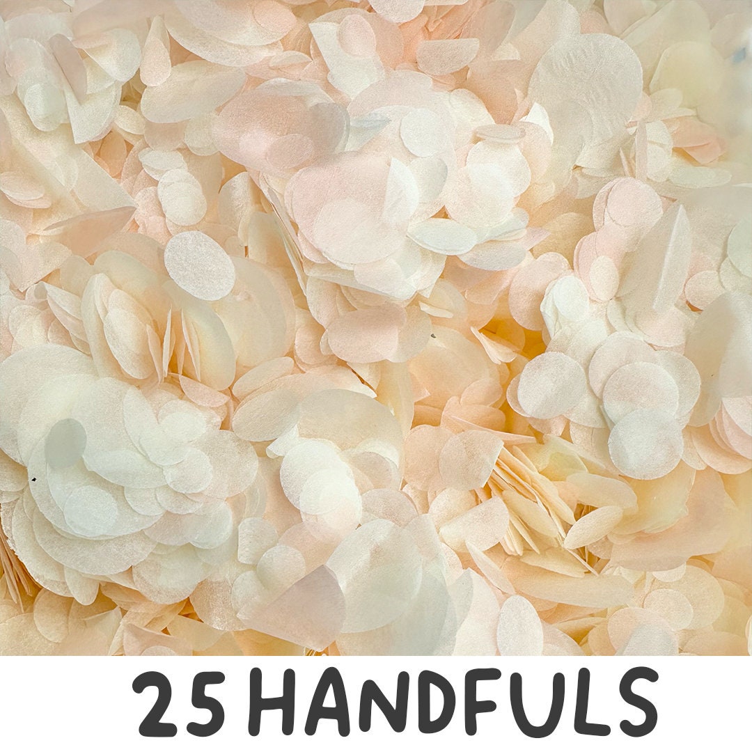 25 Guests Confetti Package Wedding Confetti Packets & - Etsy