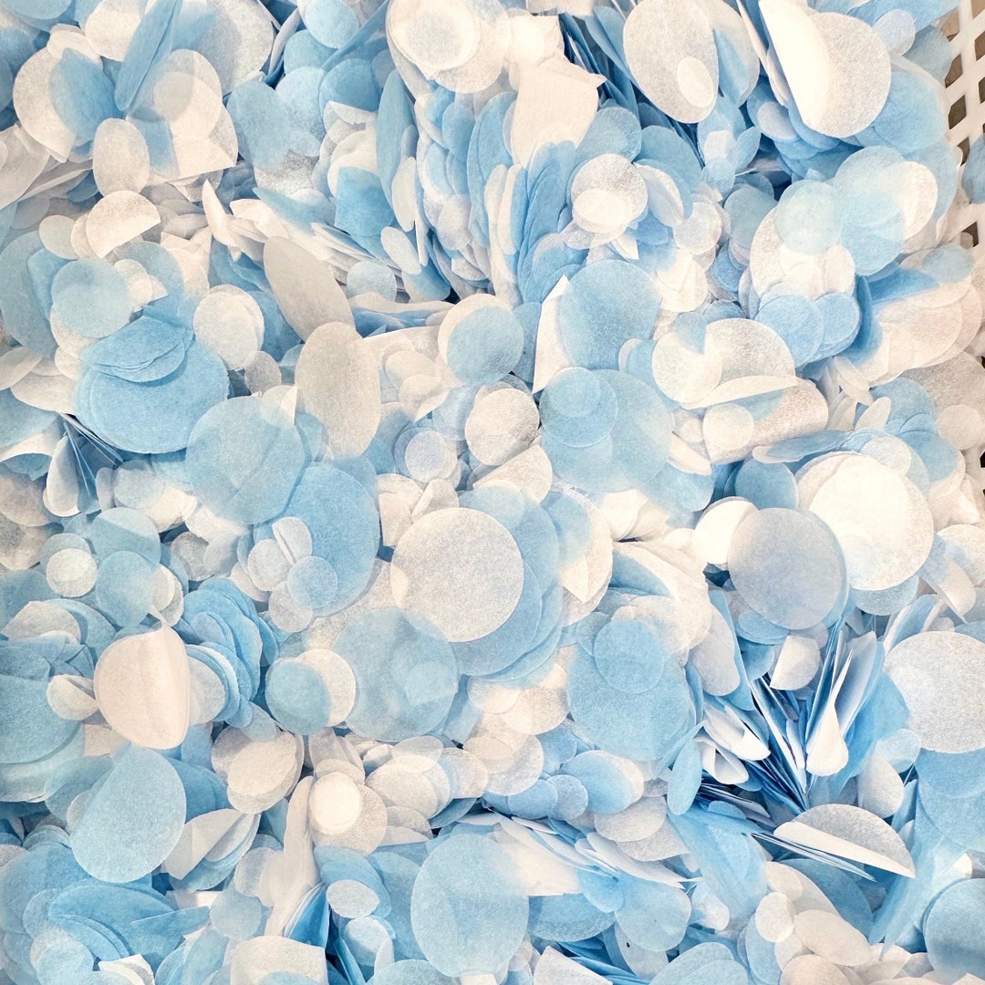 White and Blue Wedding Confetti | Pale Blue Biodegradable Paper Circle ...