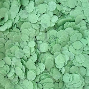 Sage Green Biodegradable Wedding Confetti | Light Pale Green Paper ...