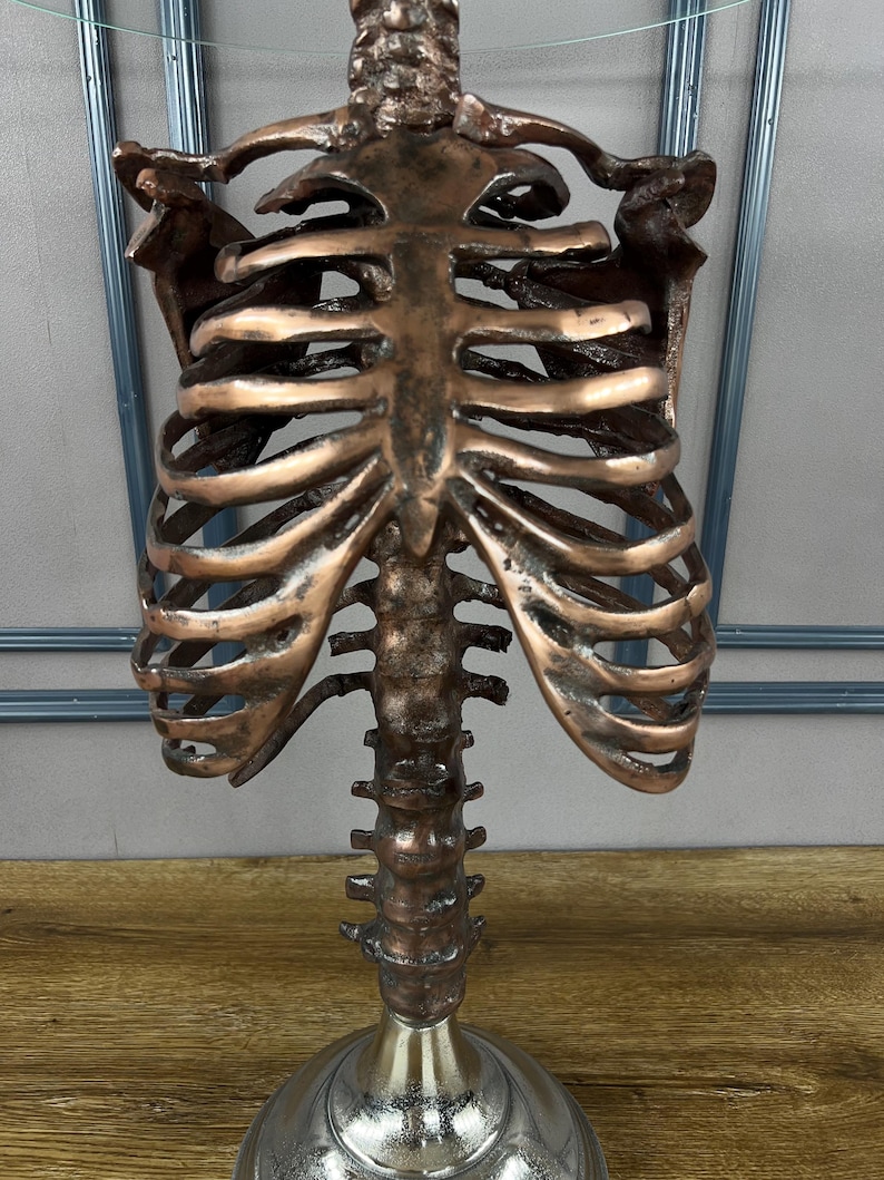 Metal Skeleton Chest Side Table With Glass Top - Macabre Décor & Gothic ...