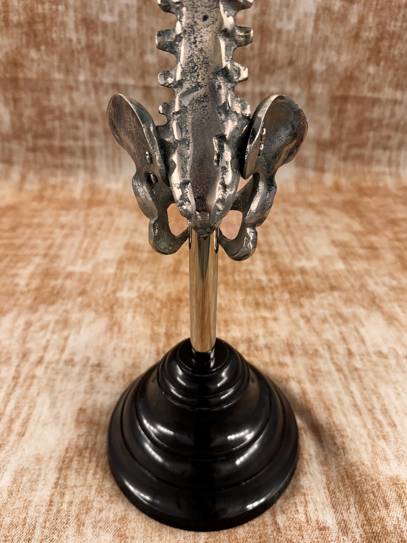 Gothic Skeleton Side Table: Anatomical Glass Top Accent Table - Etsy