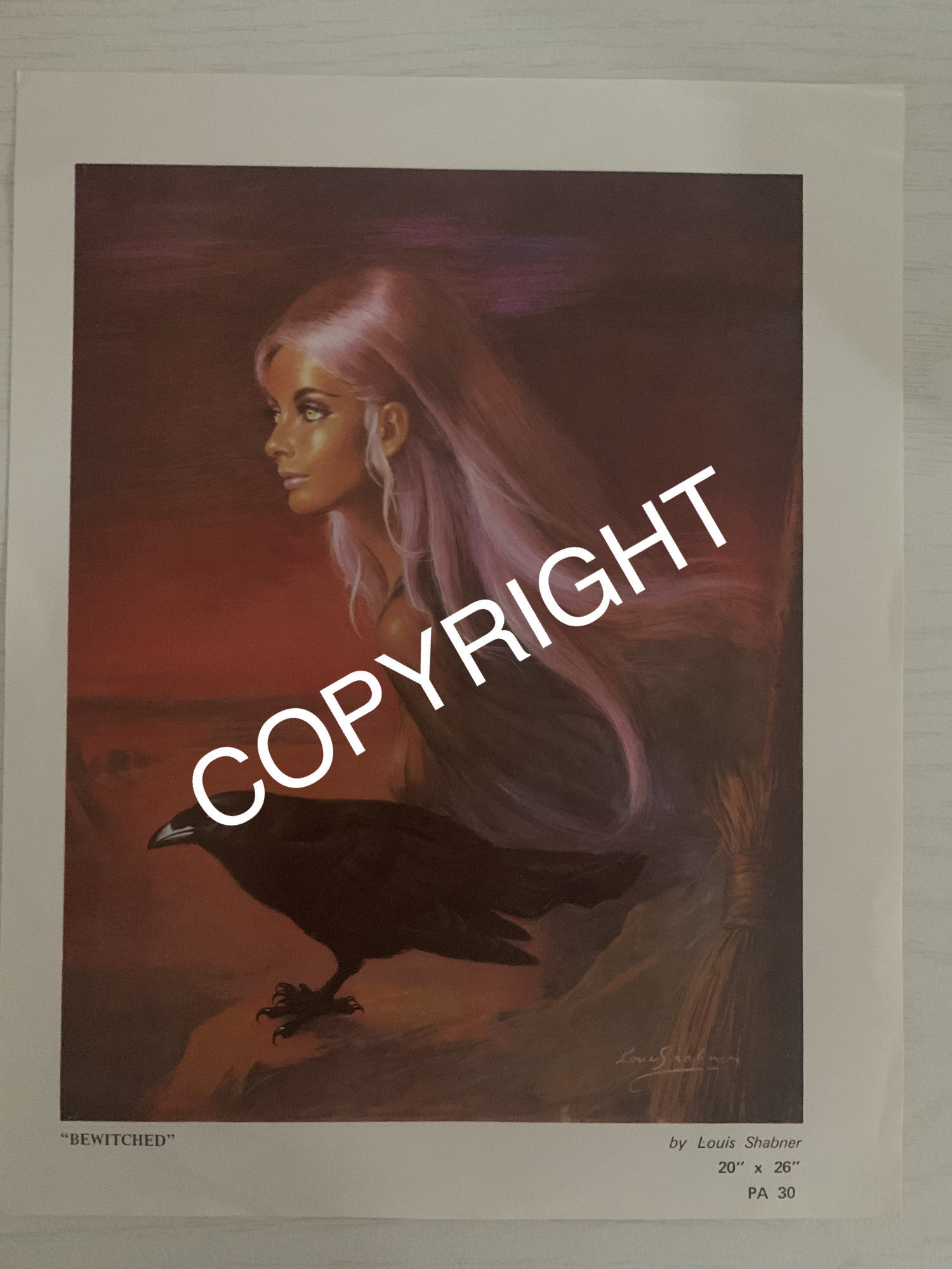 Extremely Rare Original 1970s Louis Shabner Print - Etsy