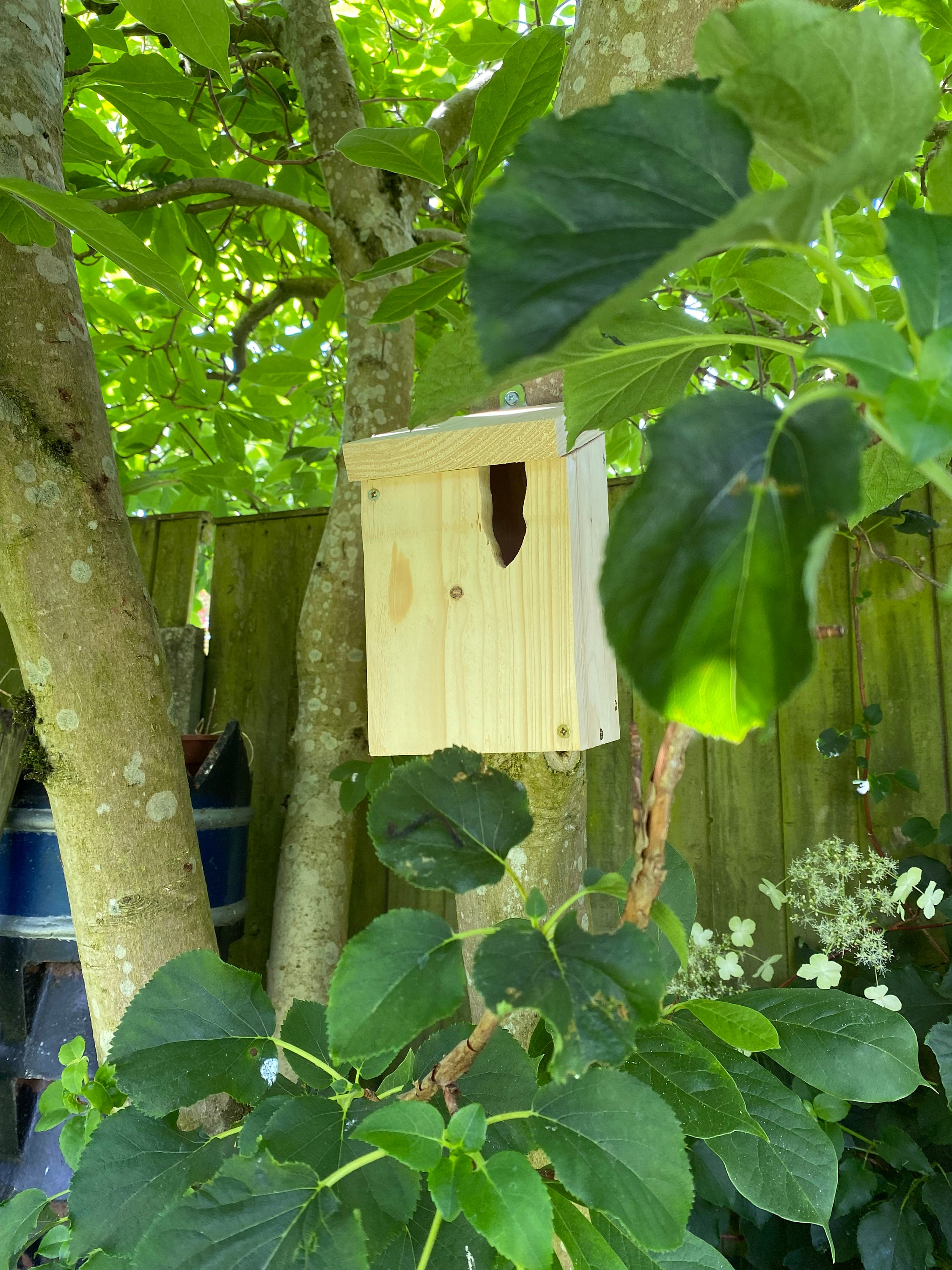 Bird House Bird Box Nest Box Wooden Bird House Handmade Garden Decor ...