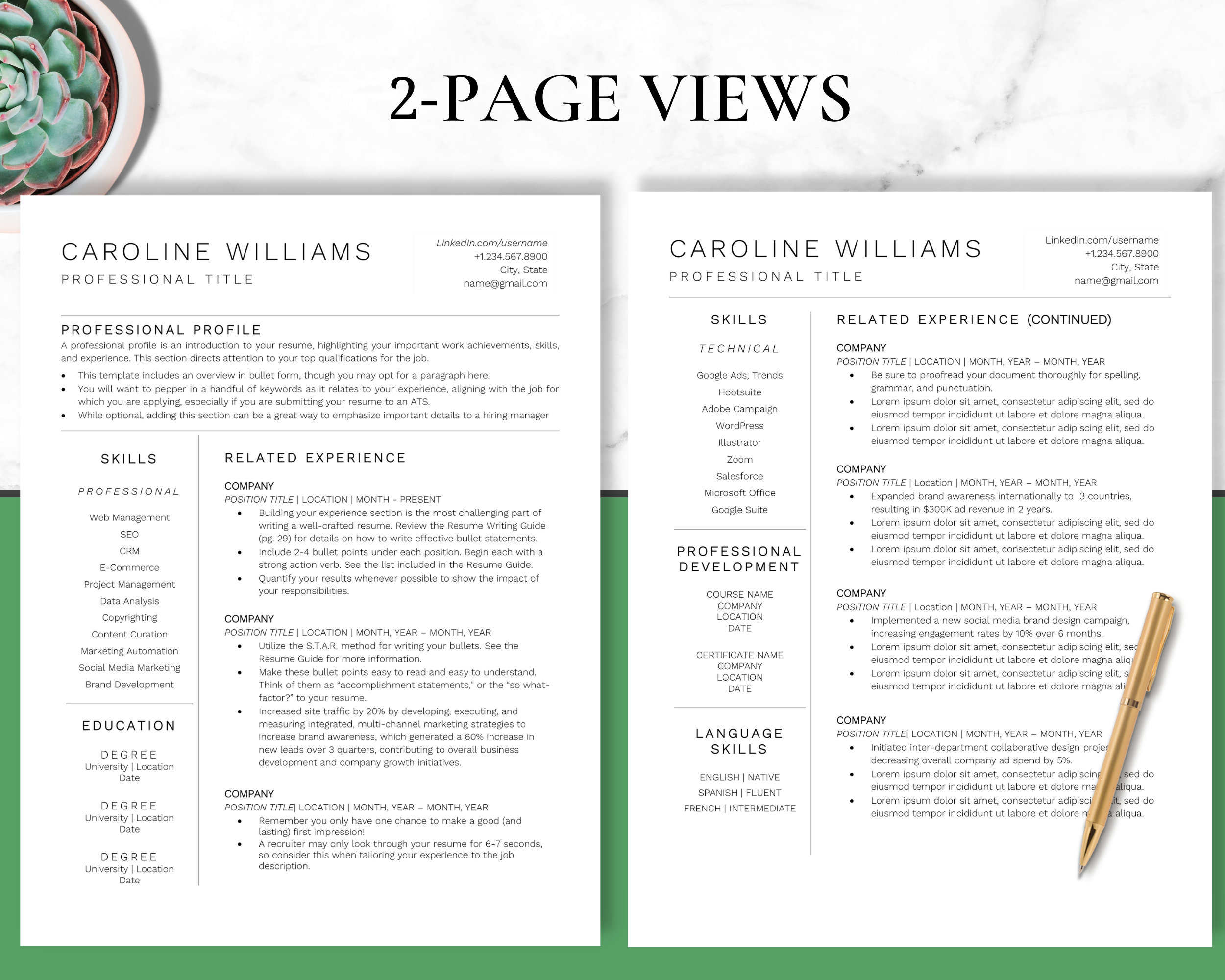 2023 Professional Resume Template, CV, Google Docs, MS Word, Recruiter ...