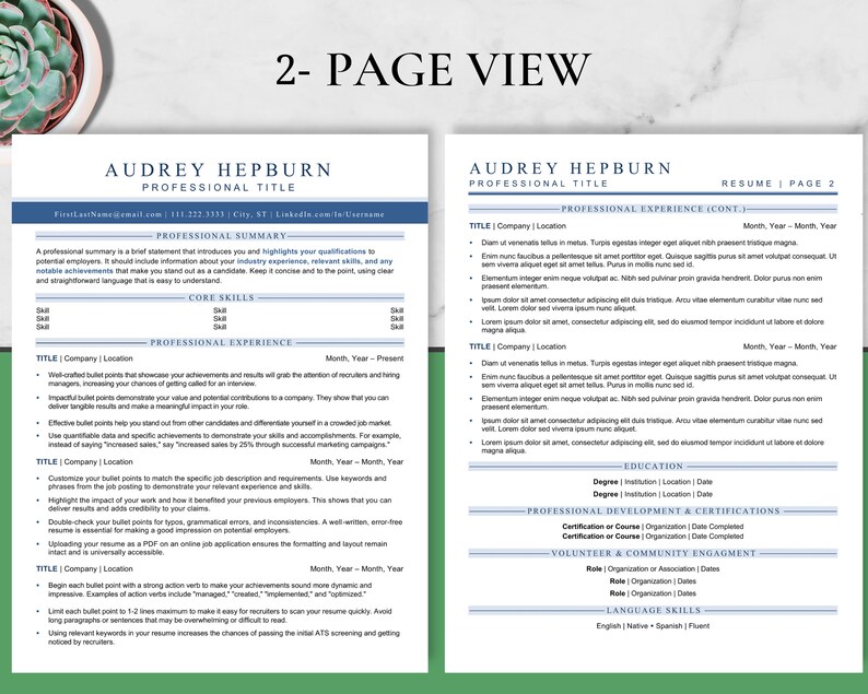 Professional, Resume Template, Modern Executive, Microsoft Word CV, MS ...