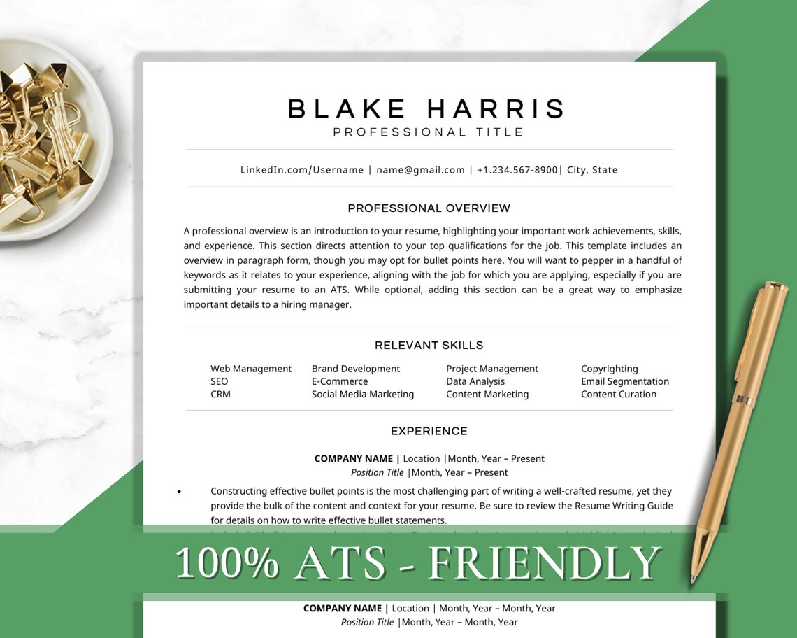 2023 Professional Resume Template, CV, Google Docs, MS Word, ATS ...