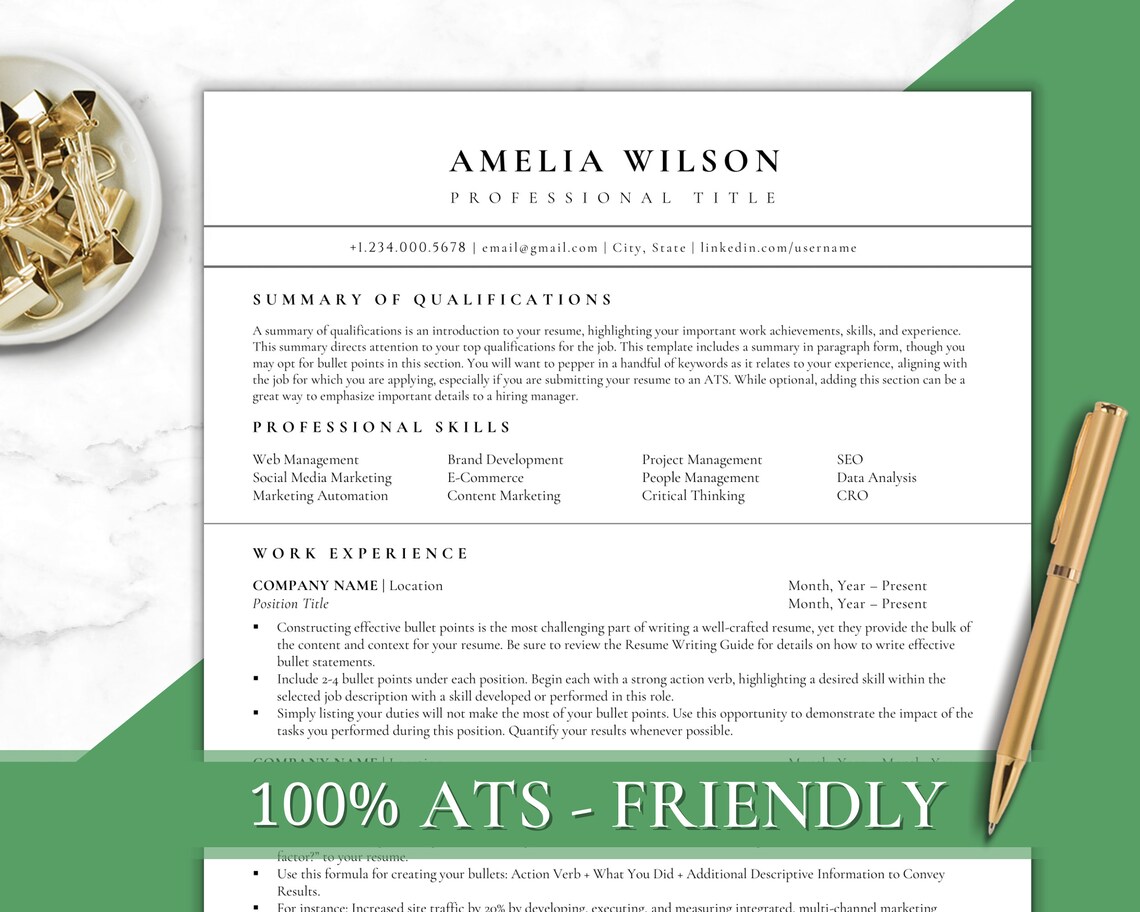 2023 Professional Resume Template, CV, Google Docs, MS Word, ATS ...