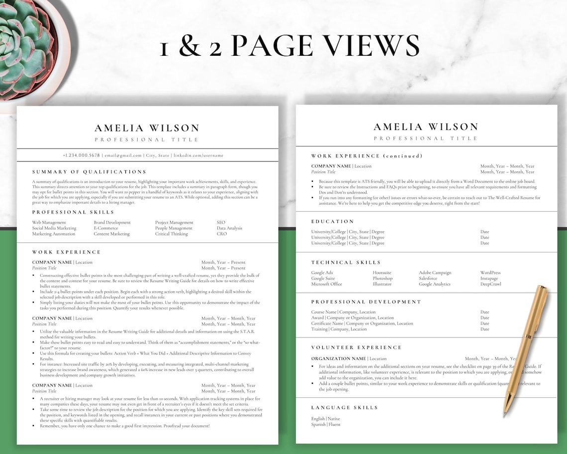 2023 Professional Resume Template, CV, Google Docs, MS Word, ATS ...