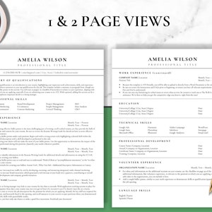 2023 Professional Resume Template, CV, Google Docs, MS Word, ATS ...