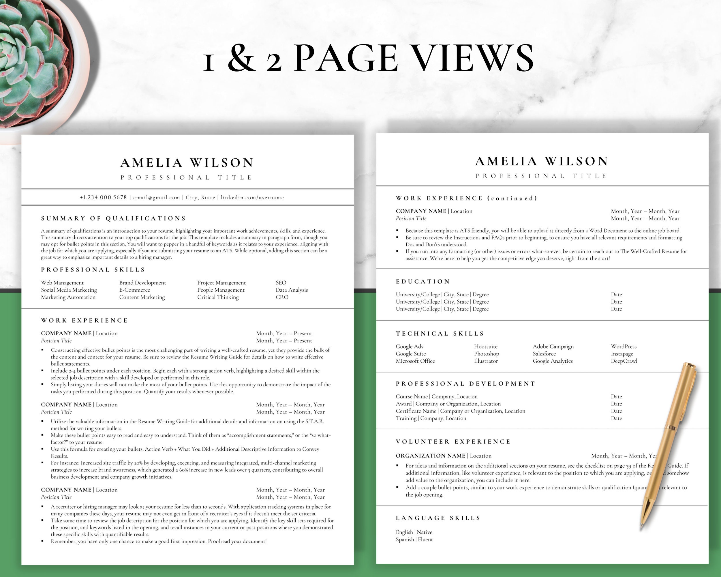 2023 Professional Resume Template, CV, Google Docs, MS Word, ATS ...
