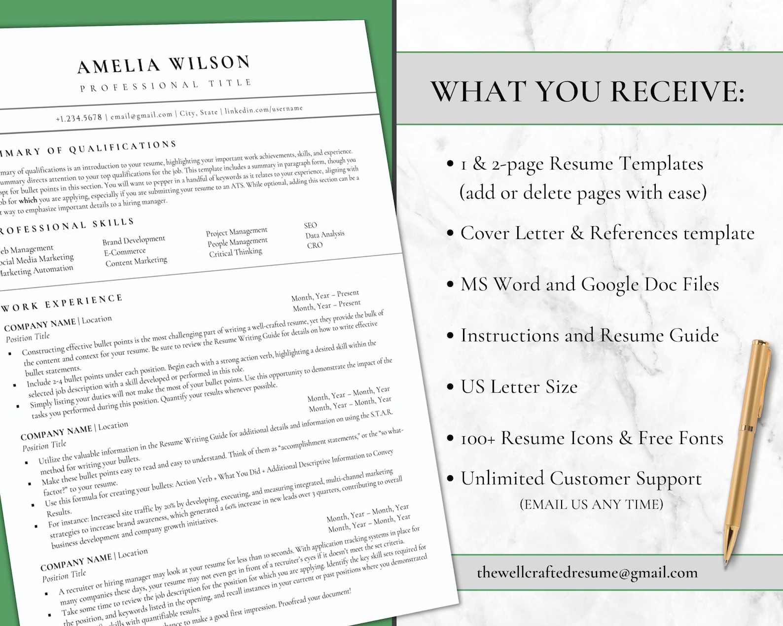 2023 Professional Resume Template, CV, Google Docs, MS Word, ATS ...