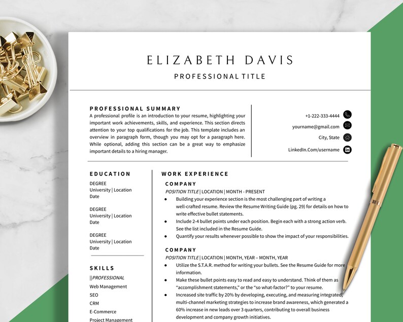 2023 Resume Template, CV, Google Docs, MS Word, ATS Friendly, Executive ...