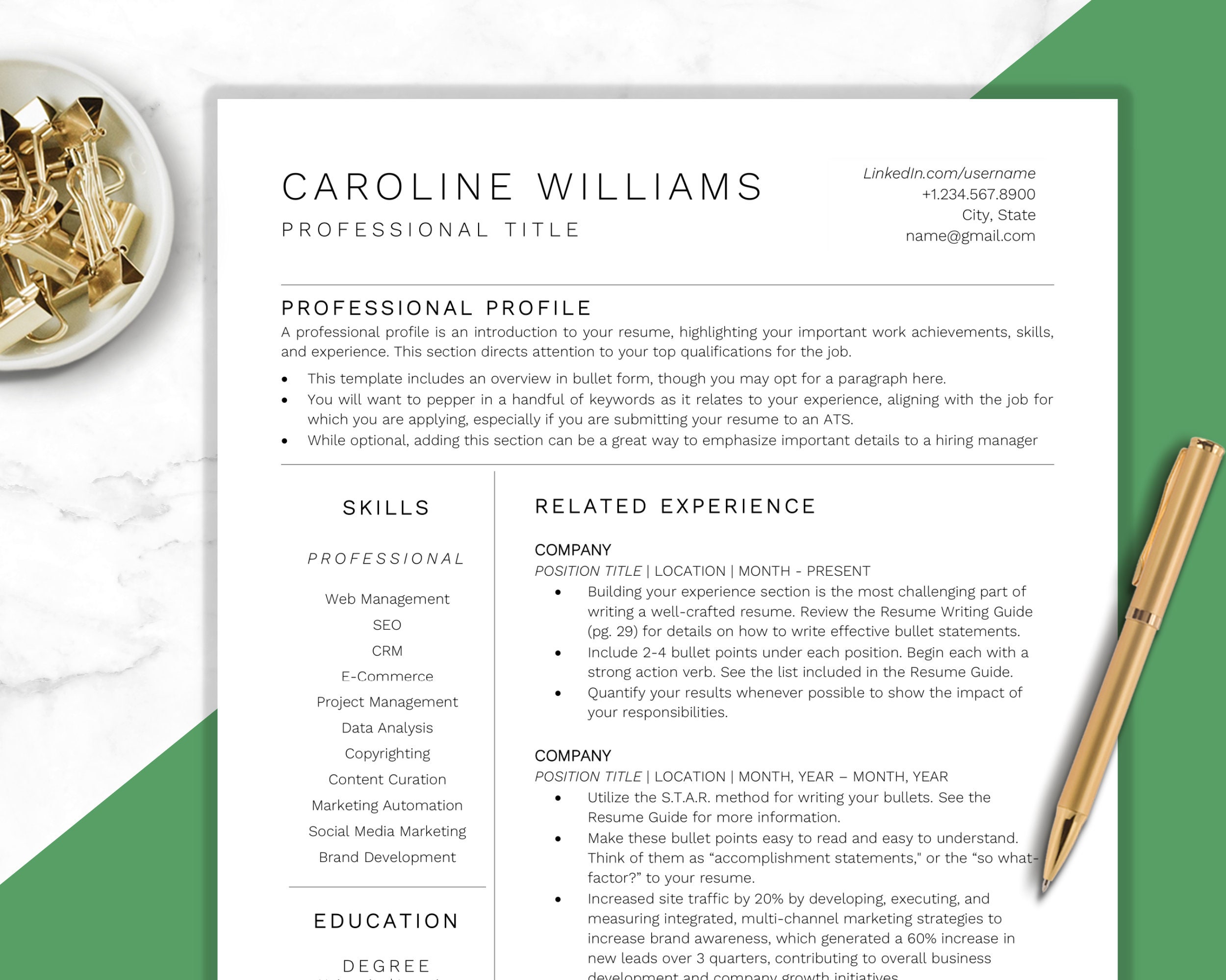 2023 Professional Resume Template, CV, Google Docs, MS Word, Recruiter ...