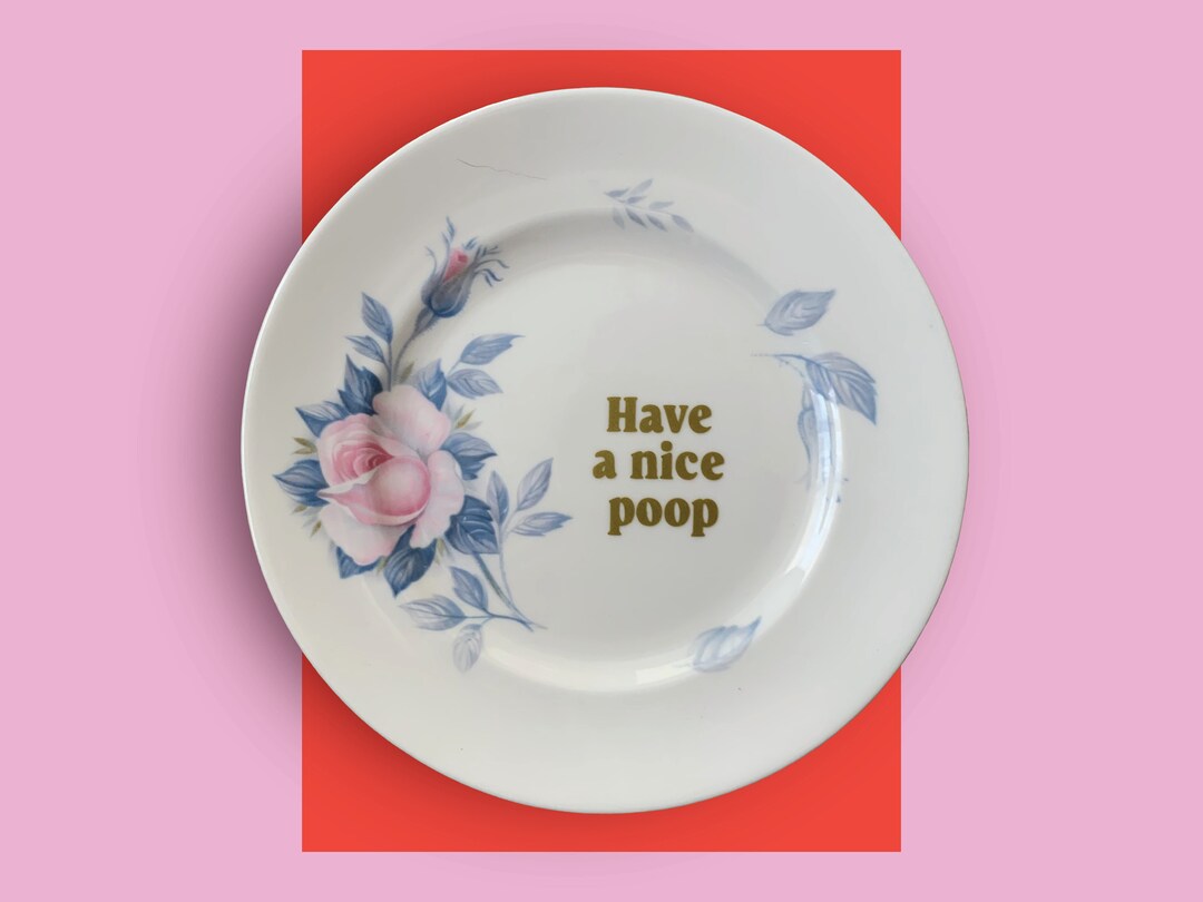 Have a Nice Poop Funny Repurposed Plate/saucer, Sassy, Funny Quote - Etsy