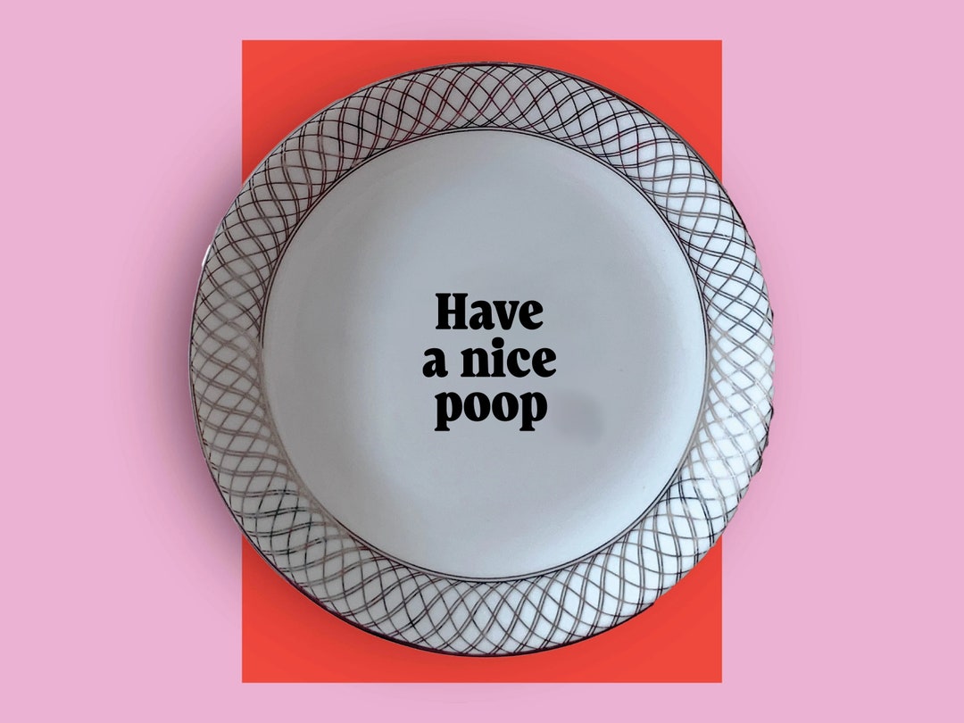 Have a Nice Poop - Funny Repurposed Plate/saucer, Sassy, Funny Quote ...