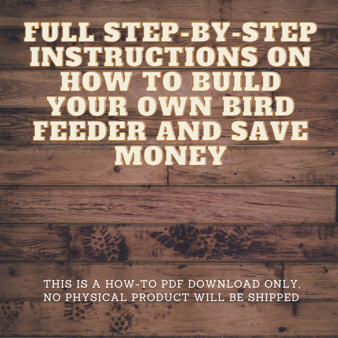 Easy Bird Feeder | Quick and Easy Bird Feeder Plans | DIY Build Digital ...