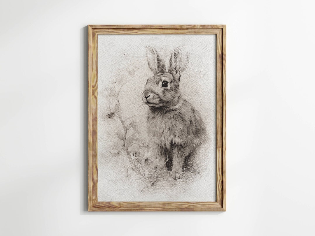 Bunny Vintage Illustration Print Rabbit Drawing Printable Art Easter ...