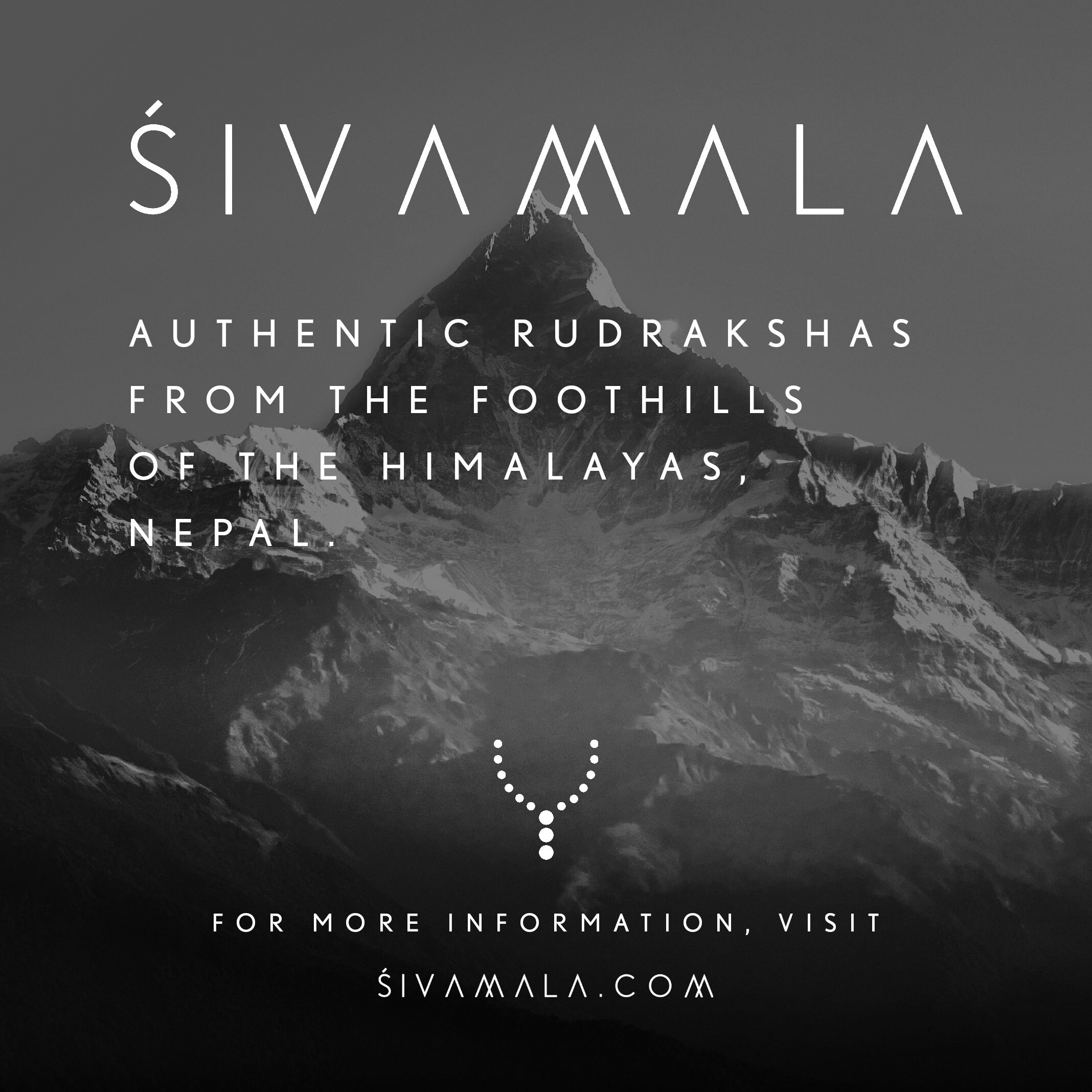 The Maha Mala Authentic Rudraksha Mala by Sivamala - Etsy