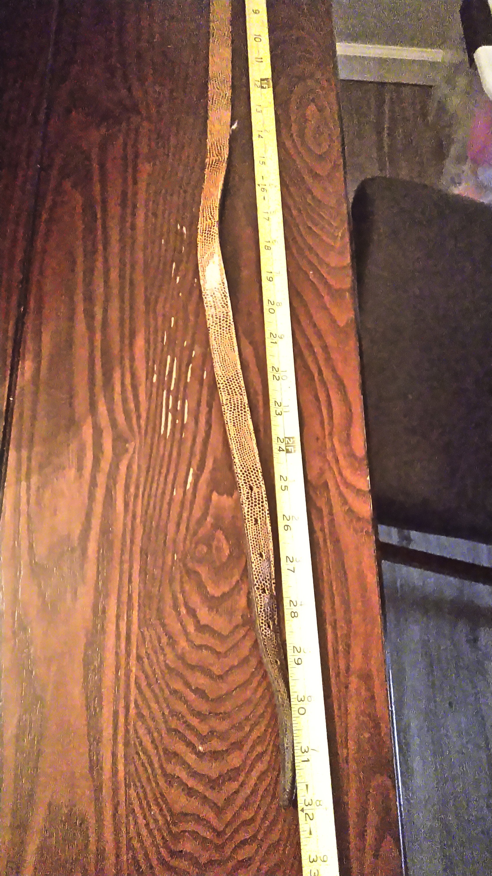 Garay Thin Leopard Print Leather Belt Small Cinch Women's Ladies ...