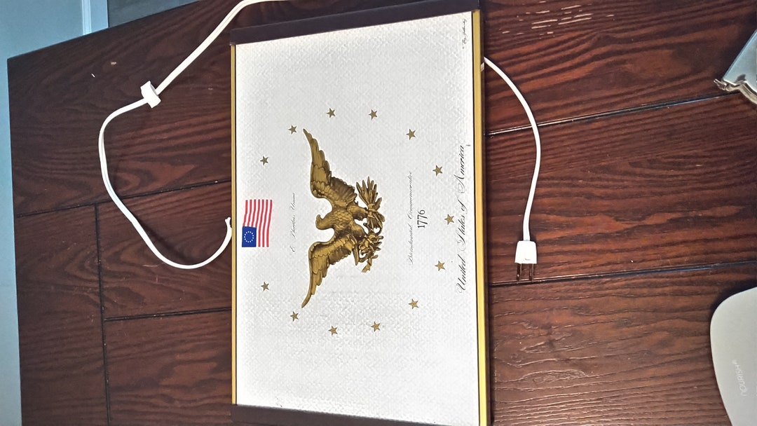 Bicentennial Commemorative 1776 United States of America Food Warmer ...