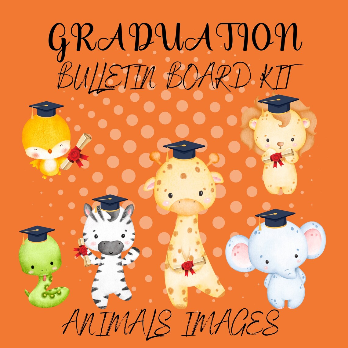 Graduation Bulletin Board Kit/graduation Bulletin Board/elementary ...