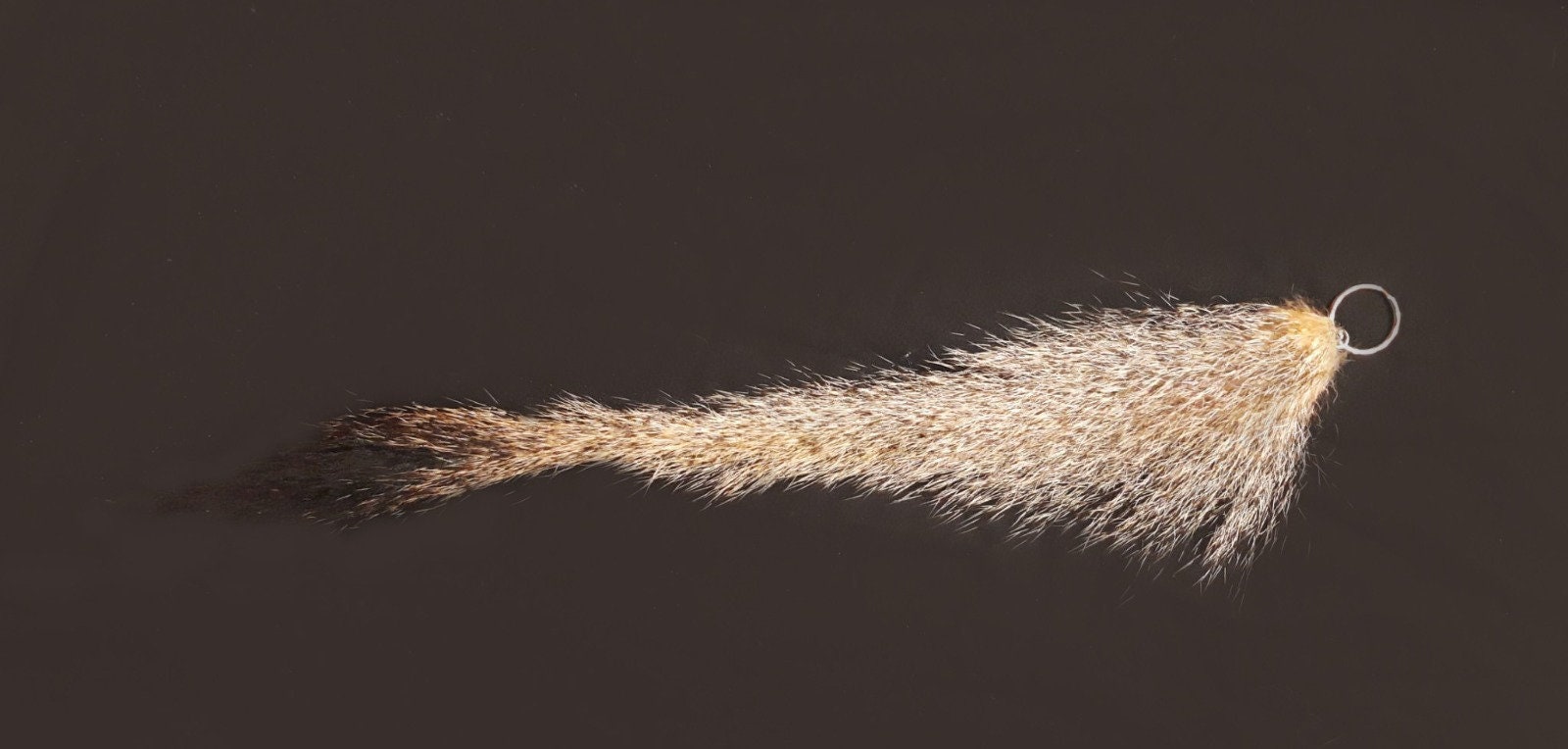 Keychain of a Spanish Mongoose Tail - Etsy